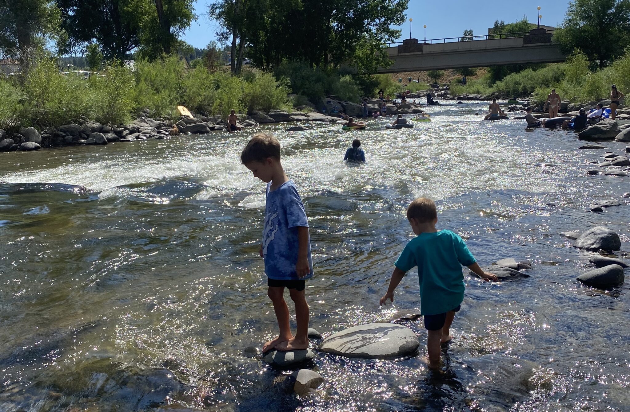 Creating a Homeschool Vision: The Rule of 6 | theorchardhomeschool.com